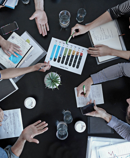 Investment Advisor Services - Aimstar Capital Group Inc.